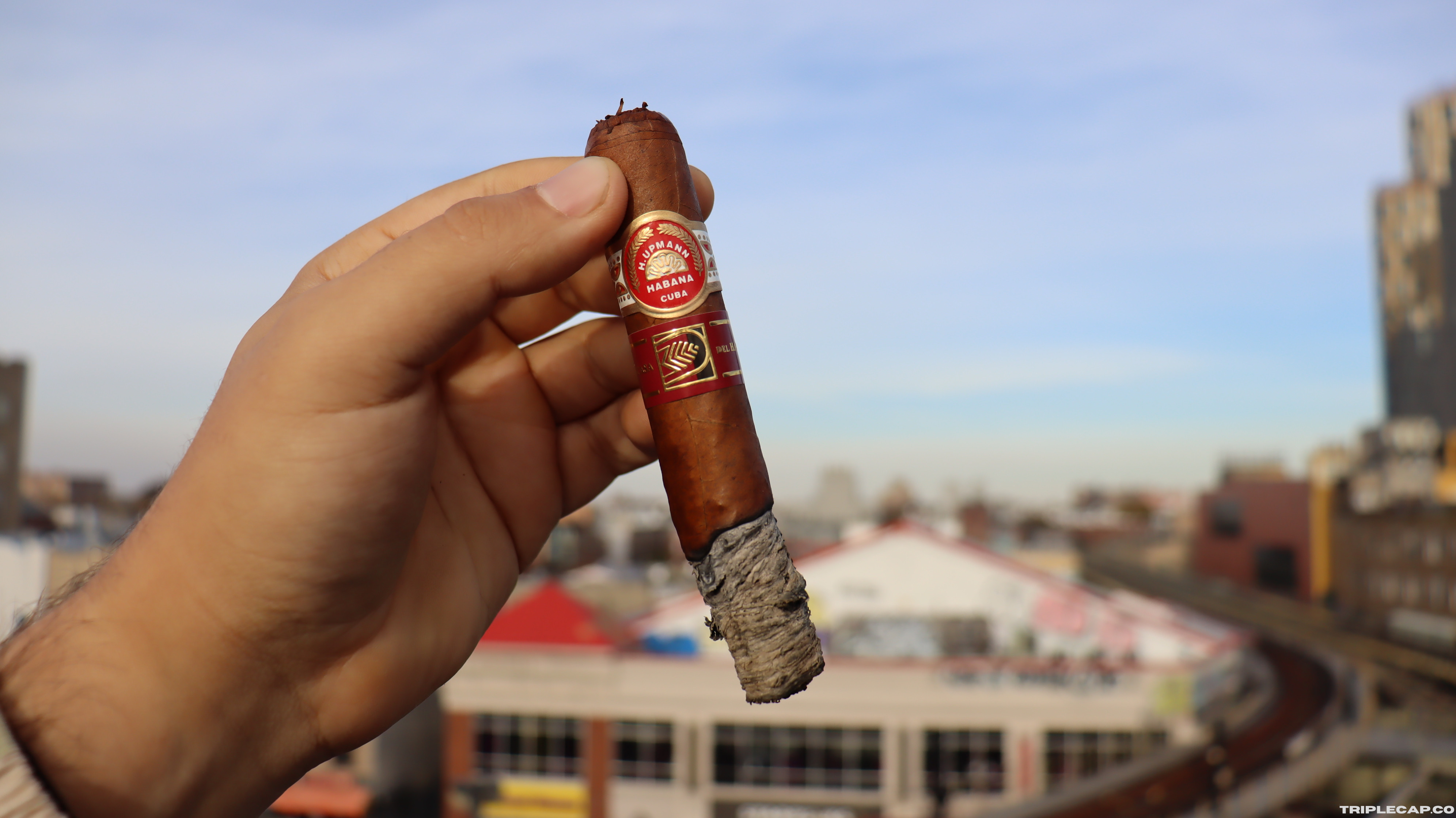 H. Upmann Royal Robusto - Cigar Review | triplecap