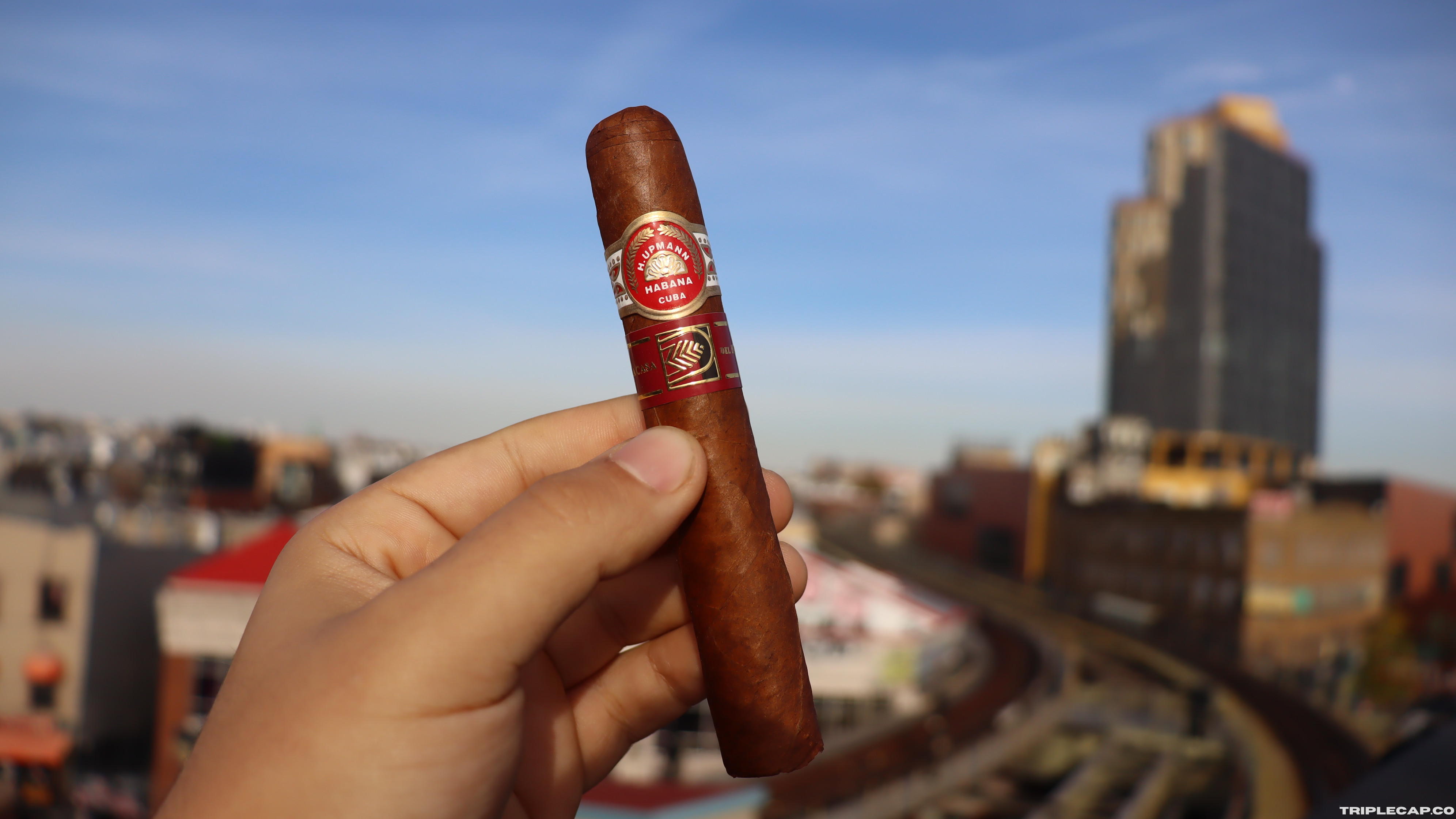 H. Upmann Royal Robusto - Cigar Review | triplecap