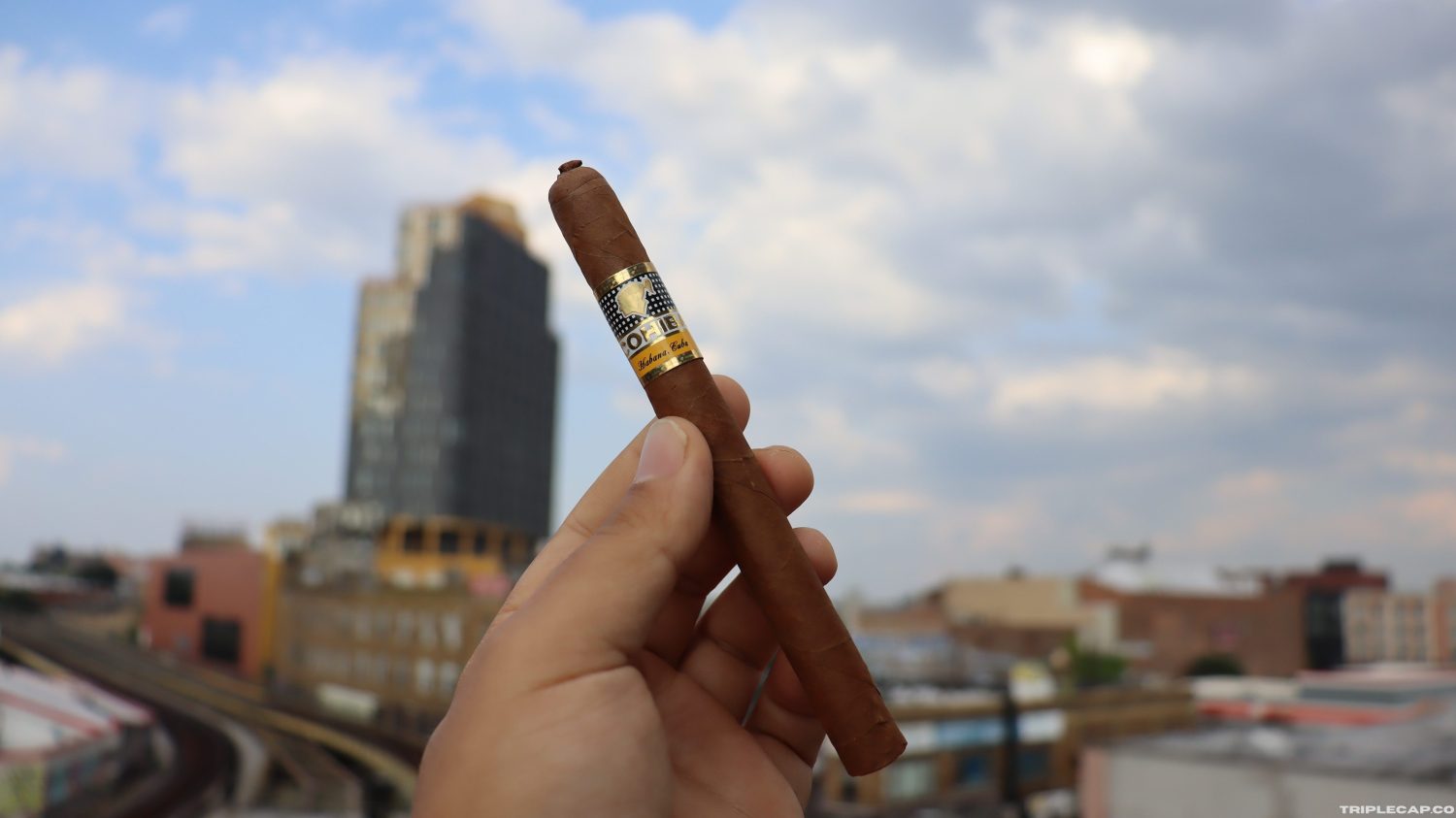 Cohiba Coronas Especiales - Cigar Review - triplecap
